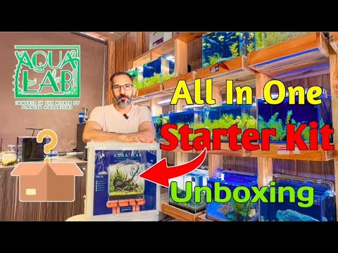 Aqua² Lab - Expert Aquascaping & DIY Aquarium Kits in India